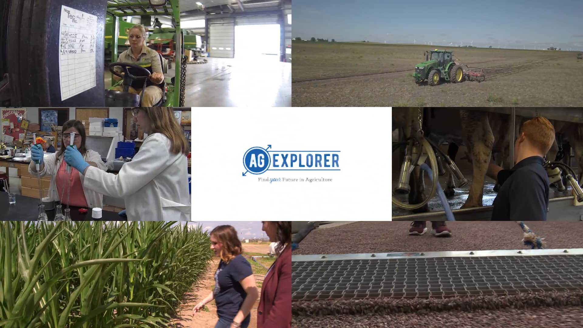 Dr. Clint Pilcher Entomologist on Vimeo