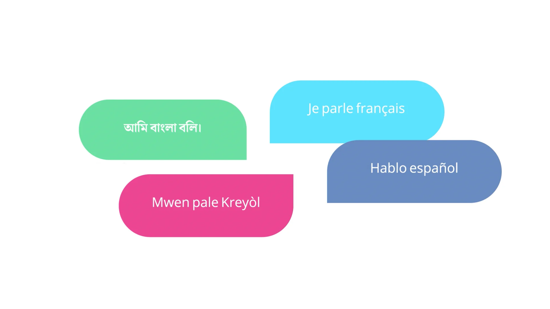 DOE Language Access v10 (1)