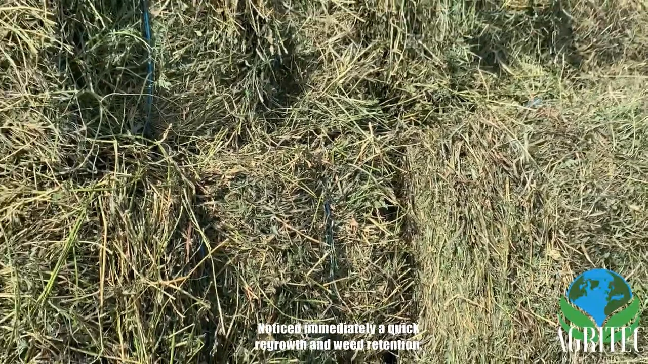 How AgriTec's liquid fertilizers transformed this hay field on Vimeo