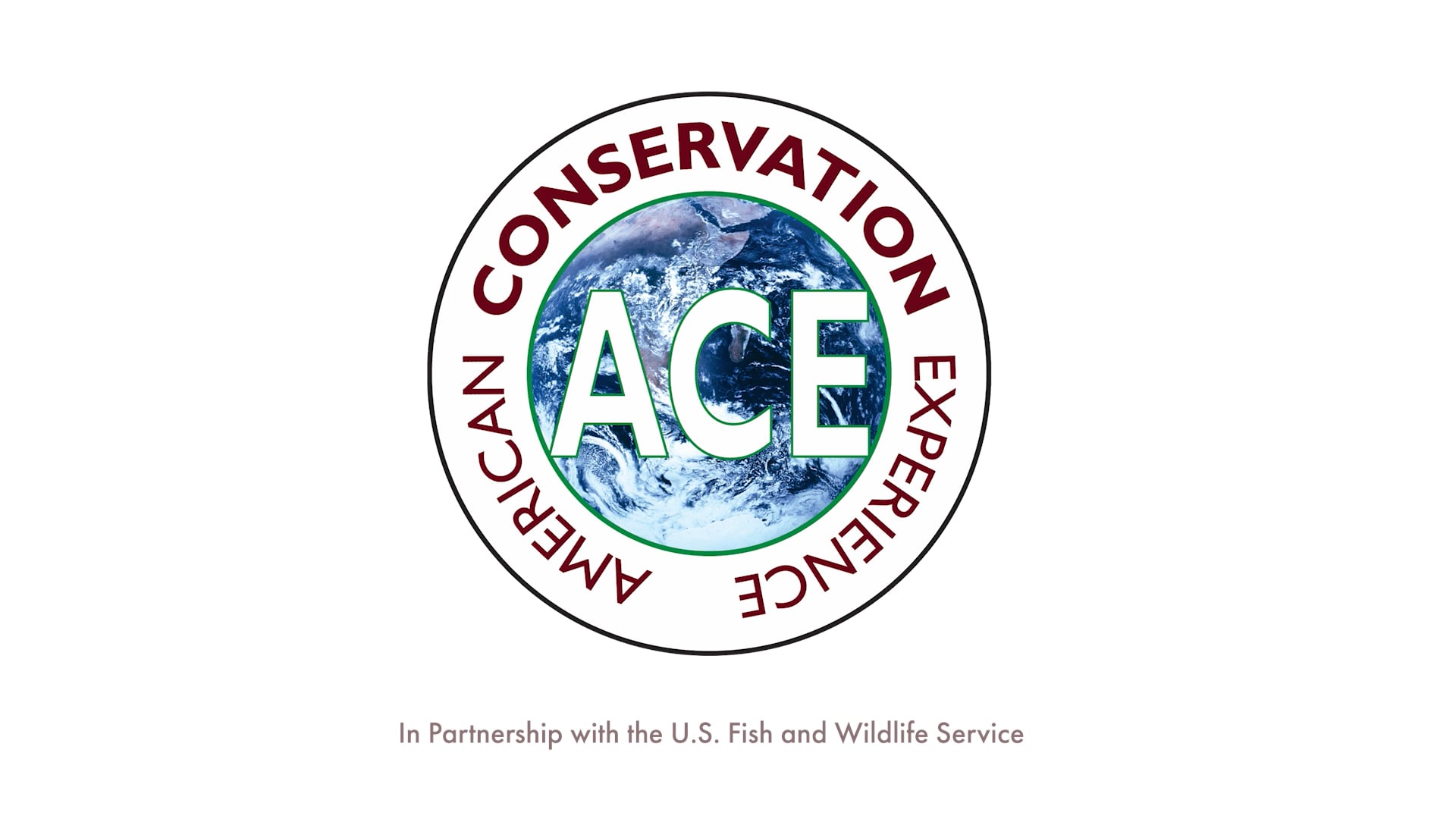 ACE EPIC Experience - Okefenokee Swamp.mp4 on Vimeo