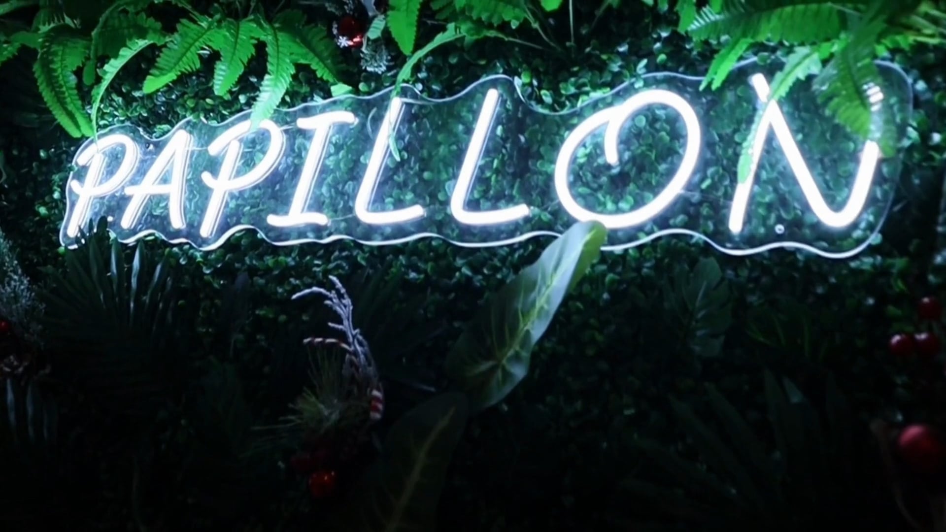 Menu | The Papillion