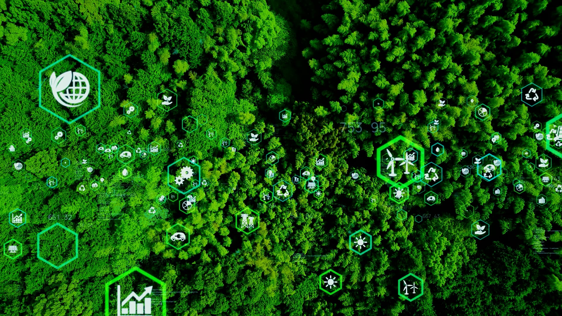 News | Carbon Net Neutral Technology Solutions