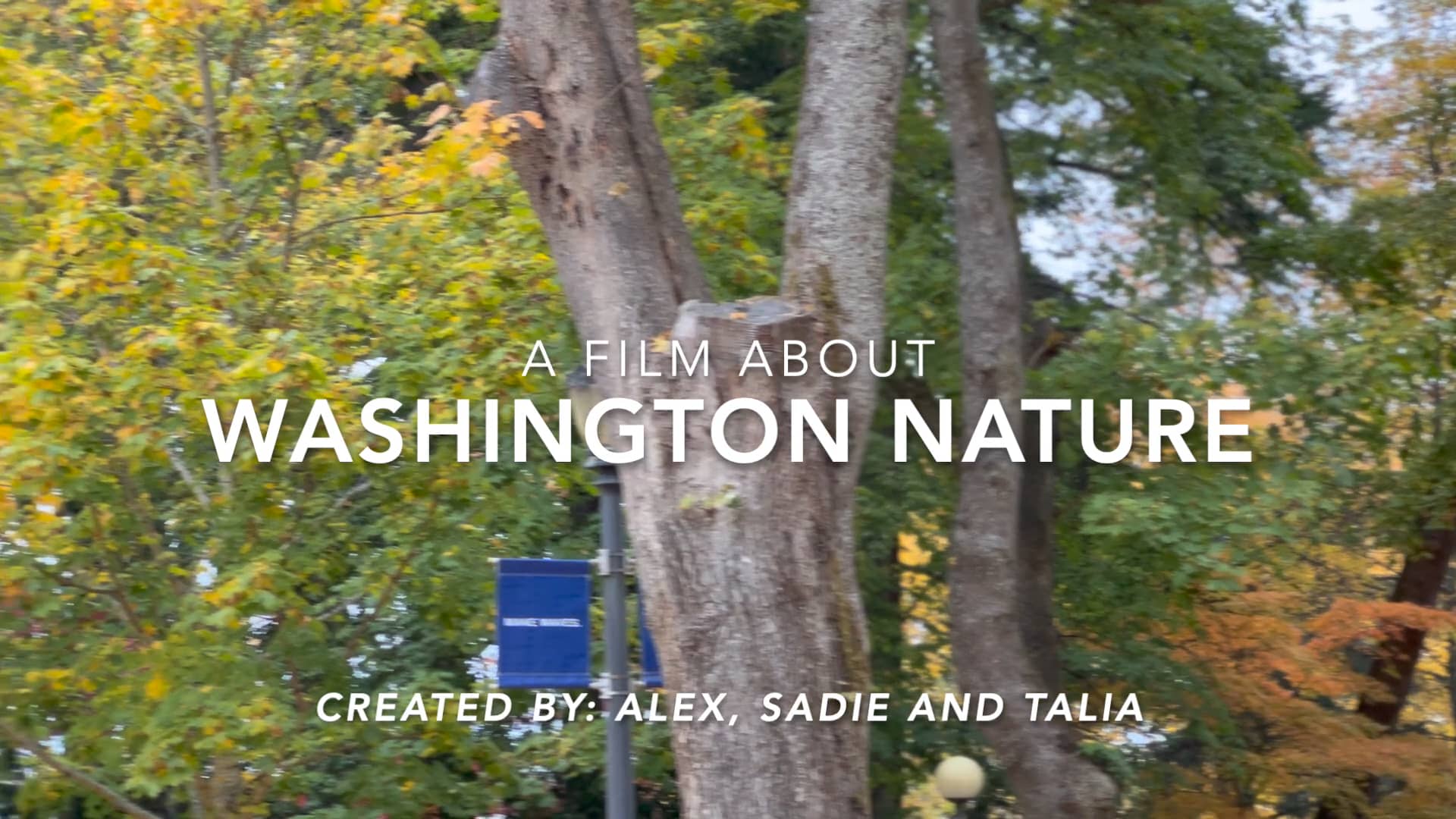 A Film About WA Nature.mp4 on Vimeo