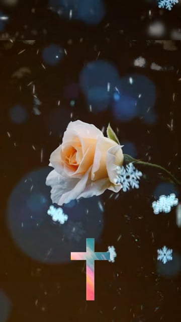 Jesús Dios Biblia - Free video on Pixabay - Pixabay