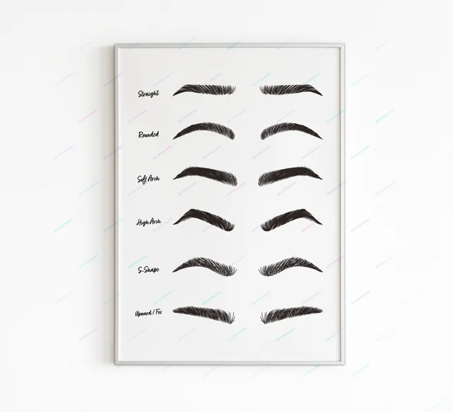 Eyebrows Shapes Chart