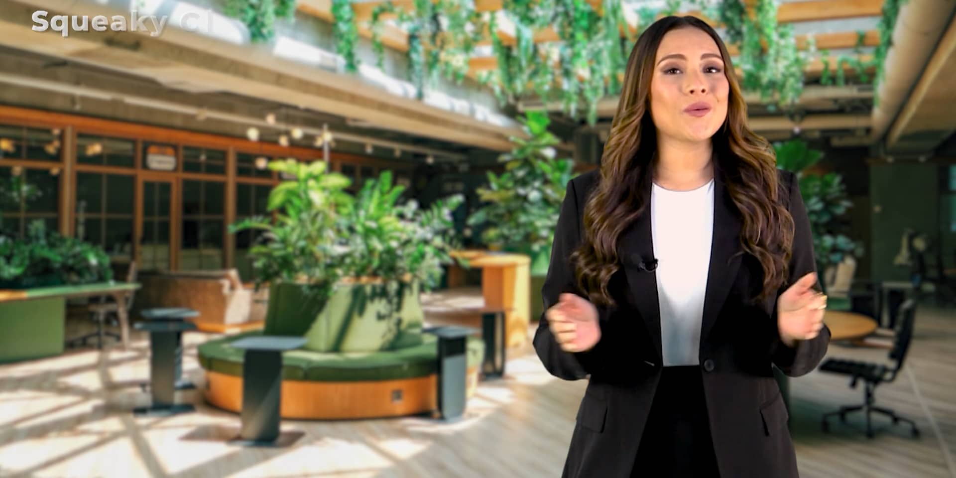 Squeaky Clean residential and commercial on Vimeo