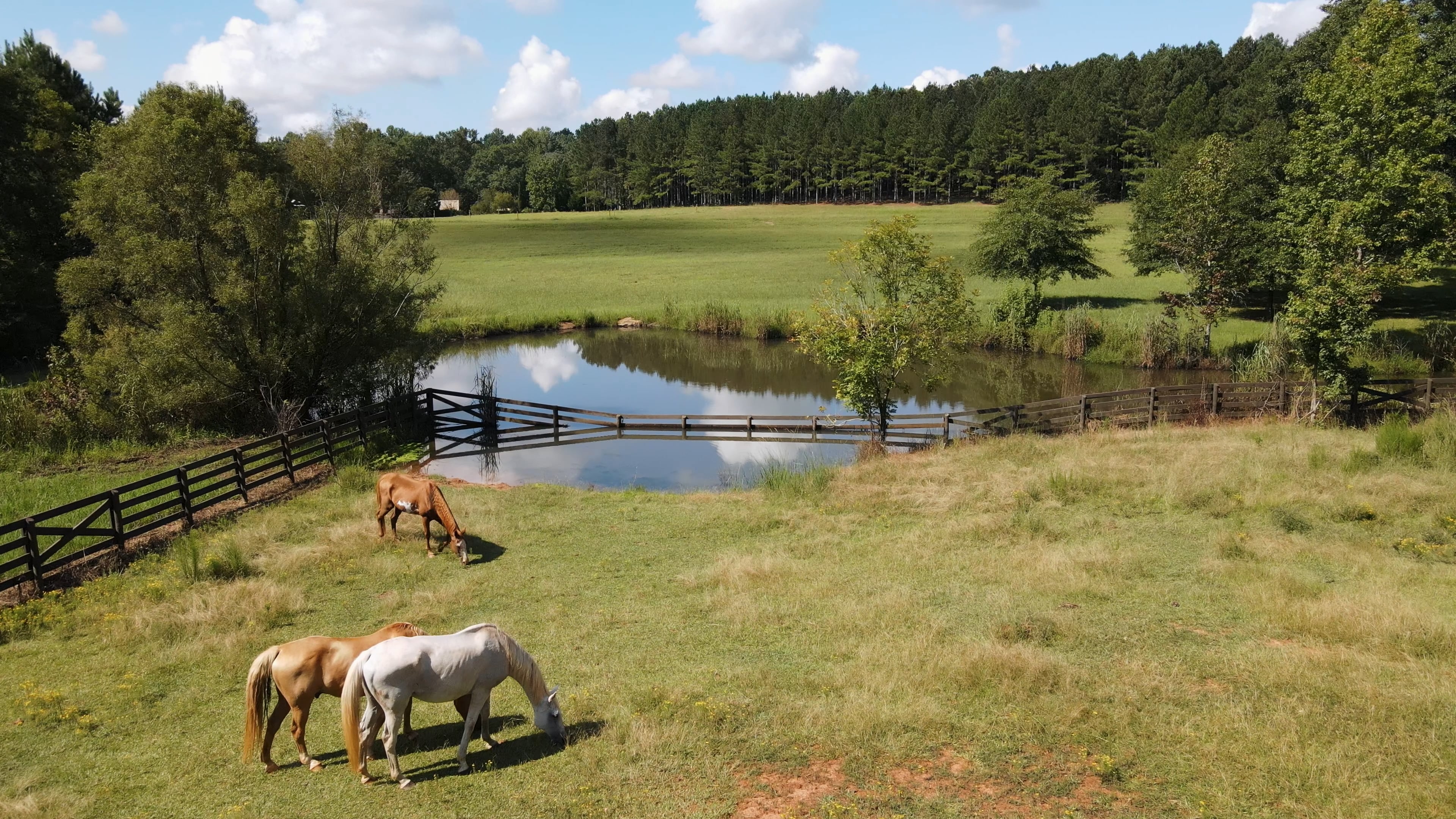 Bogle Farms Tour.mp4 on Vimeo
