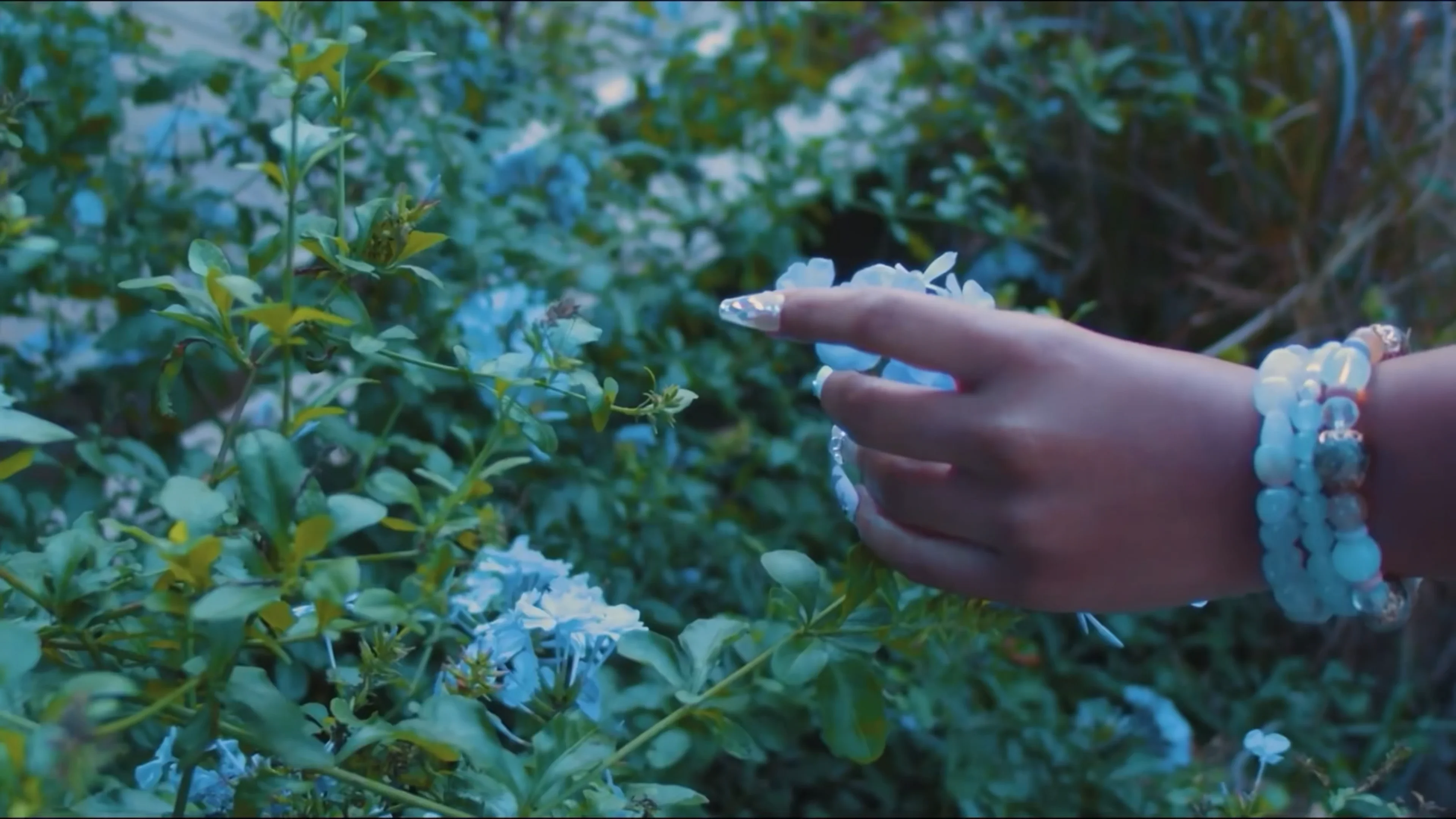Website Video on Vimeo