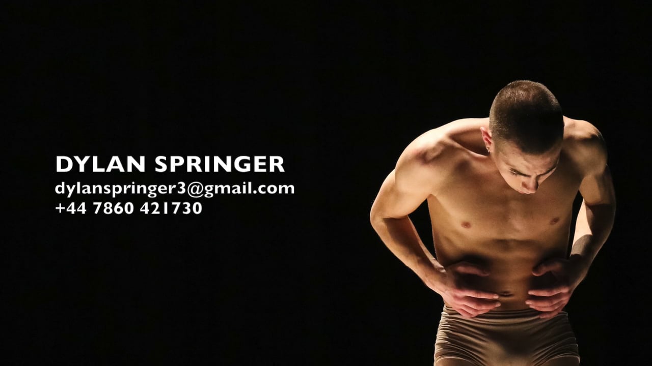 Dylan Springer - Showreel on Vimeo