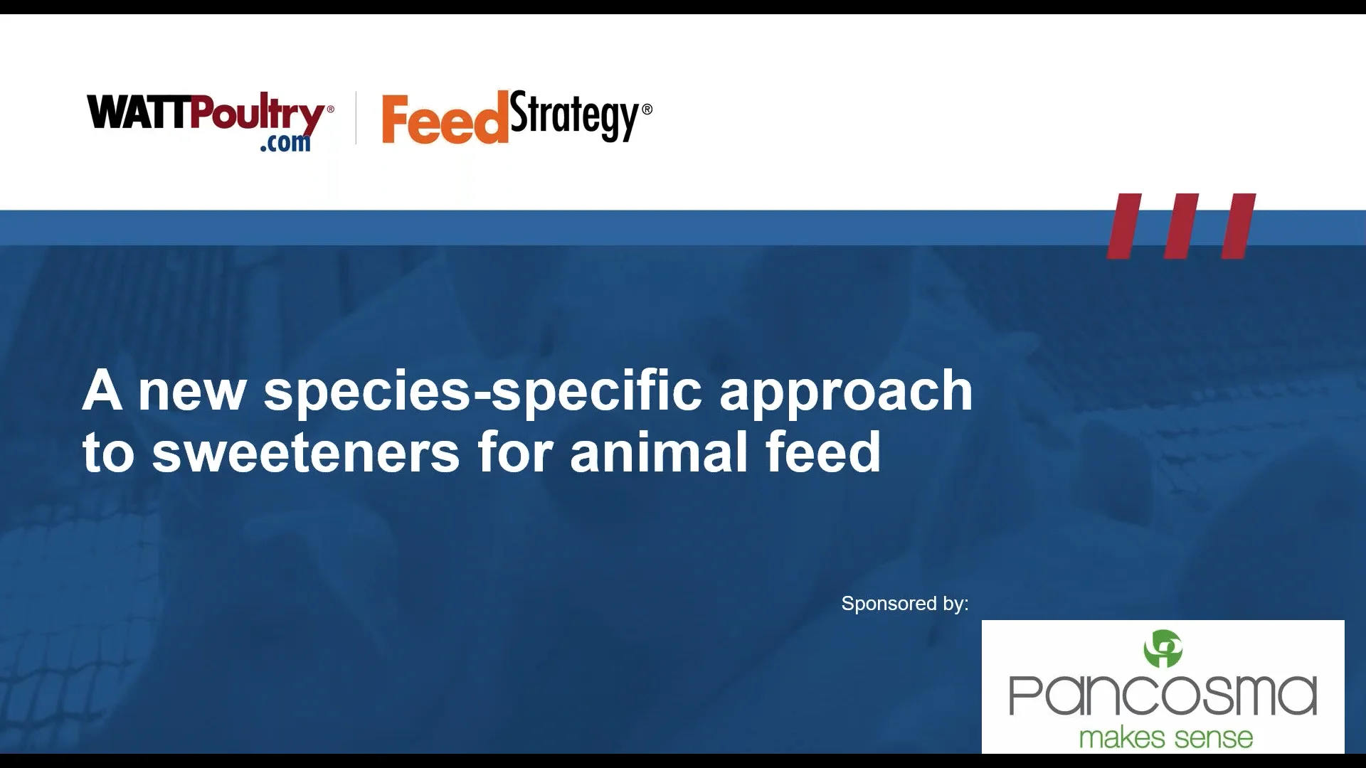Feed Strategy - A new species-specific approach to sweeteners for ...