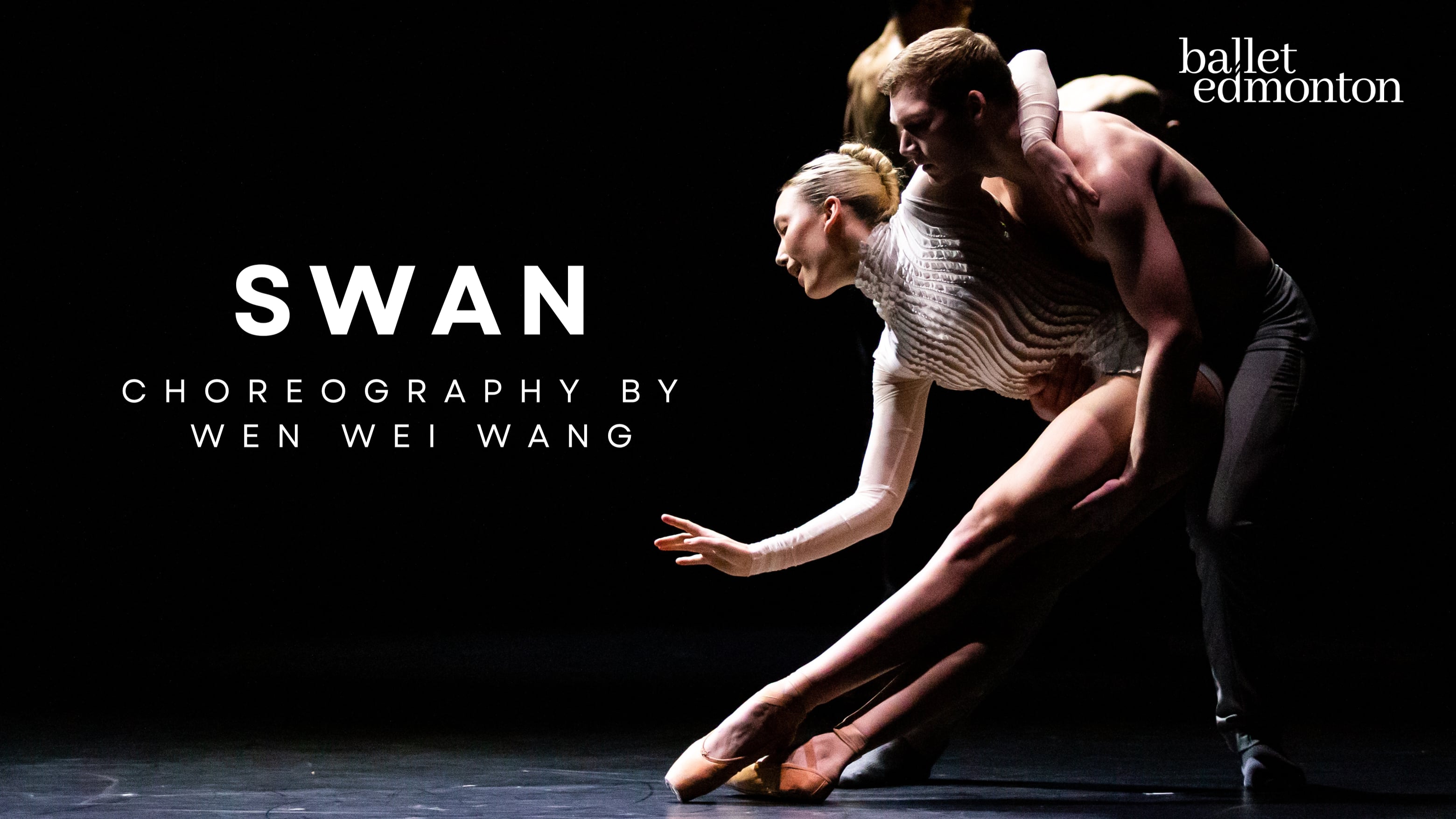 Trailer // Swan, Wen Wei Wang for Ballet Edmonton, 2022 on Vimeo