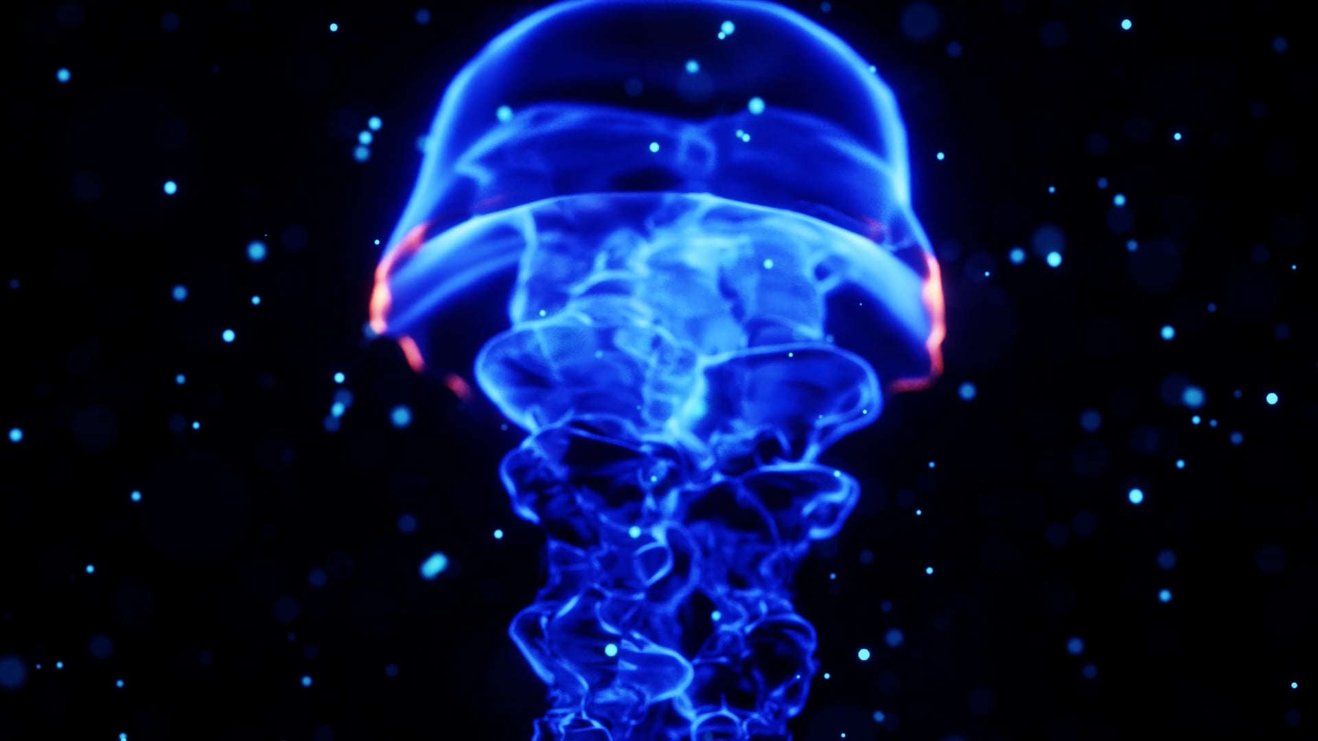 Jellyfish.mp4 on Vimeo