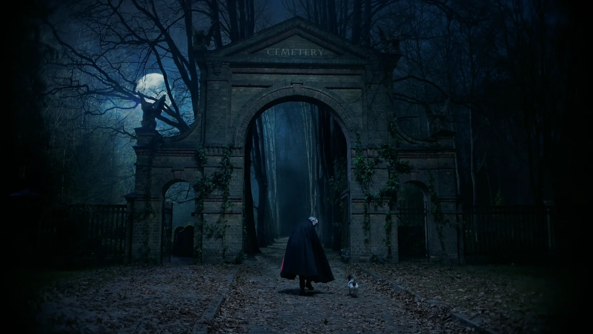 Pedigree - 'Vampire' on Vimeo