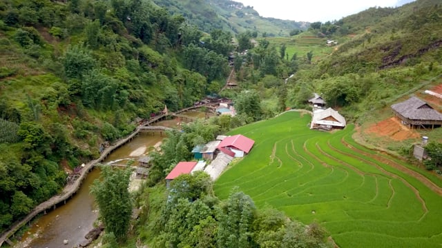 River, Waterfall, Rice Fields. Free Stock Video - Pixabay