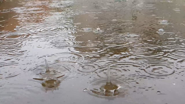 Raindrop Rain Puddle Spring - Free video on Pixabay