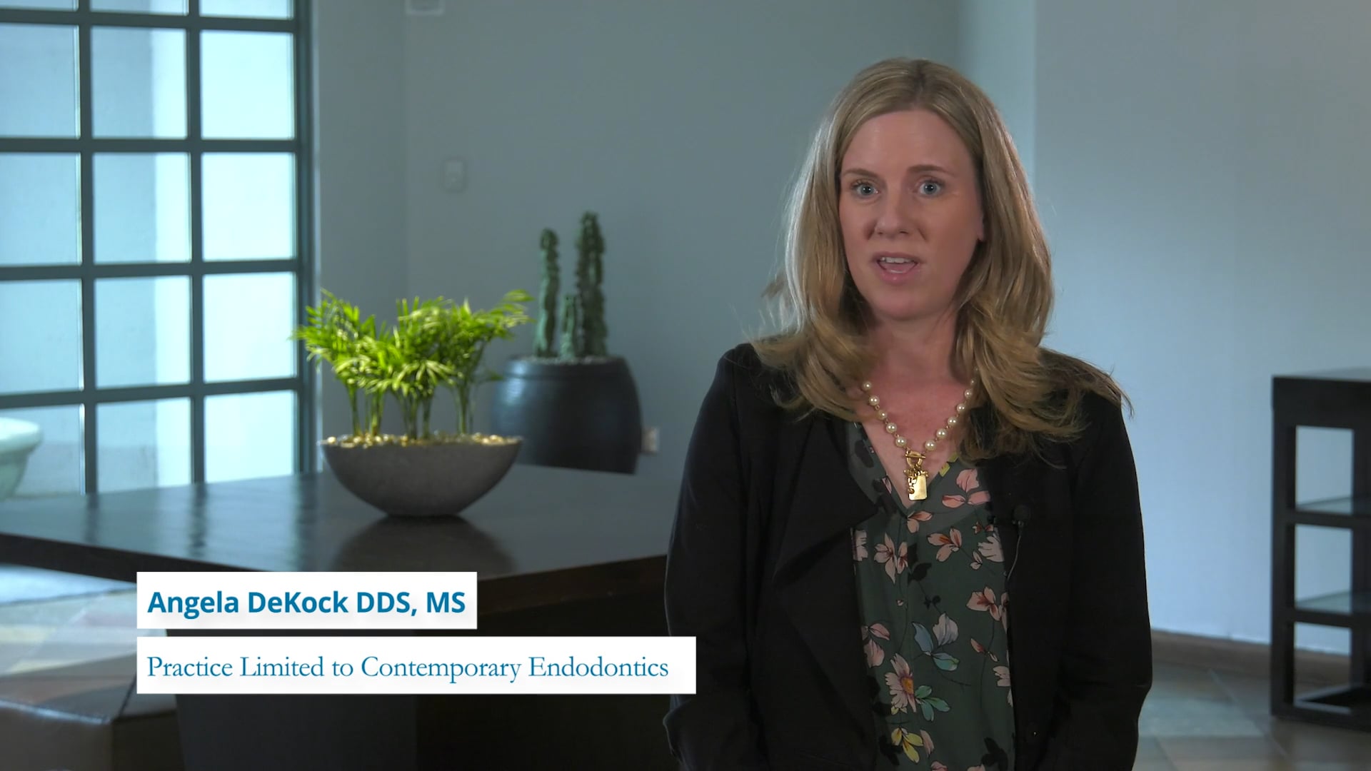 Dr. Angela DeKock, Contemporary Endo on Vimeo