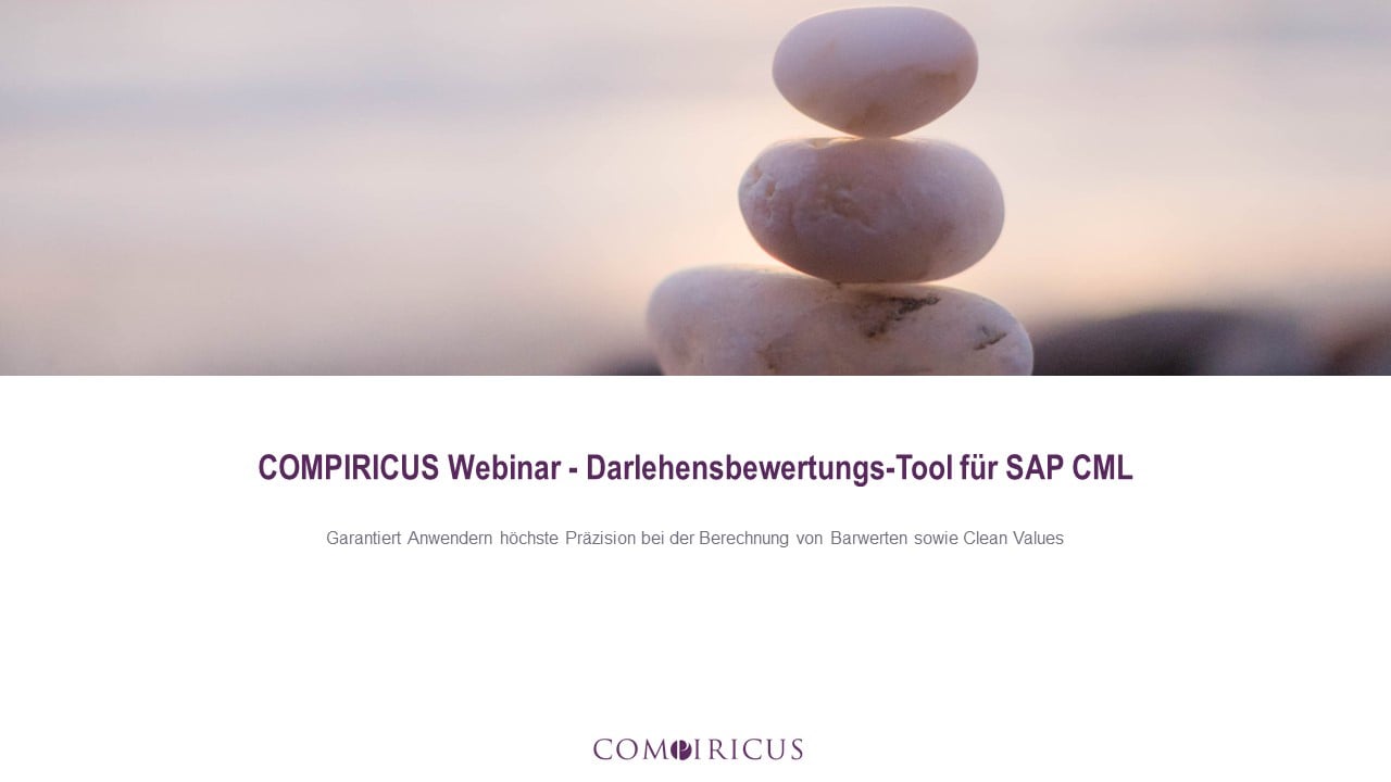 Webinar Darlehensbewertungs-Tool für SAP CML on Vimeo