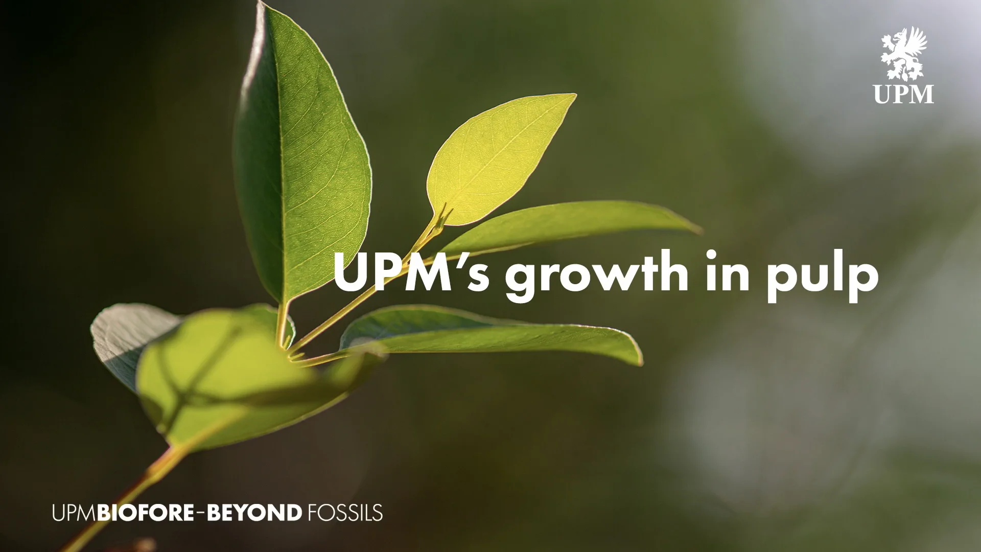 UPM Sijoittajawebcast 13.12.2022 on Vimeo