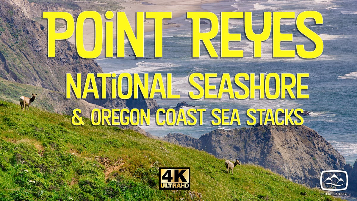 Watch Point Reyes National Seashore & Oregon Coast Sea Stacks Online ...