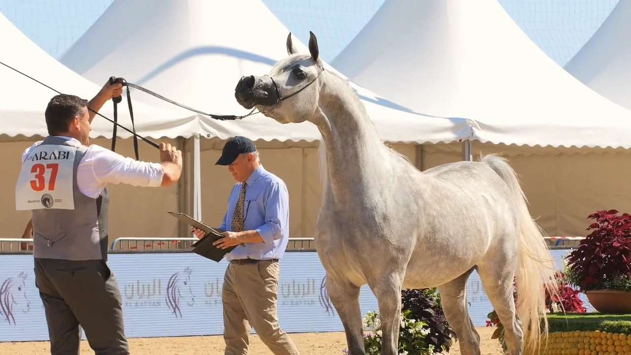 AJ KAYYA - Menton 2022 [MR].mp4 on Vimeo