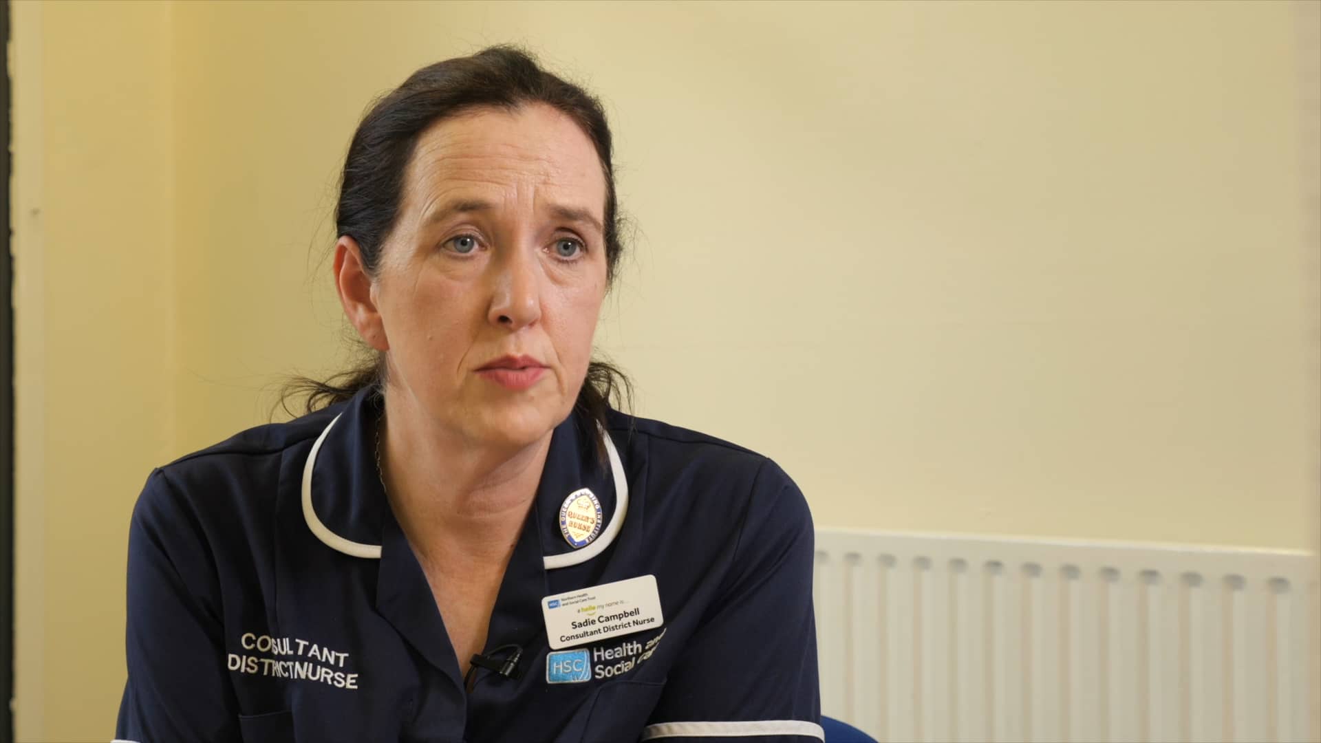 NIPEC - Promoting Consultant Nurse & Consultant Midwife Roles ...