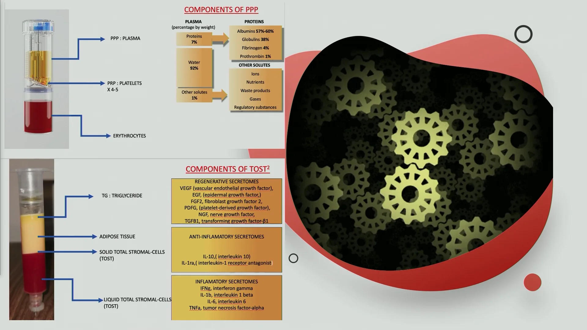 Eray Copcu - Supercharged Mechanical Stromal-Cell Transfer on Vimeo
