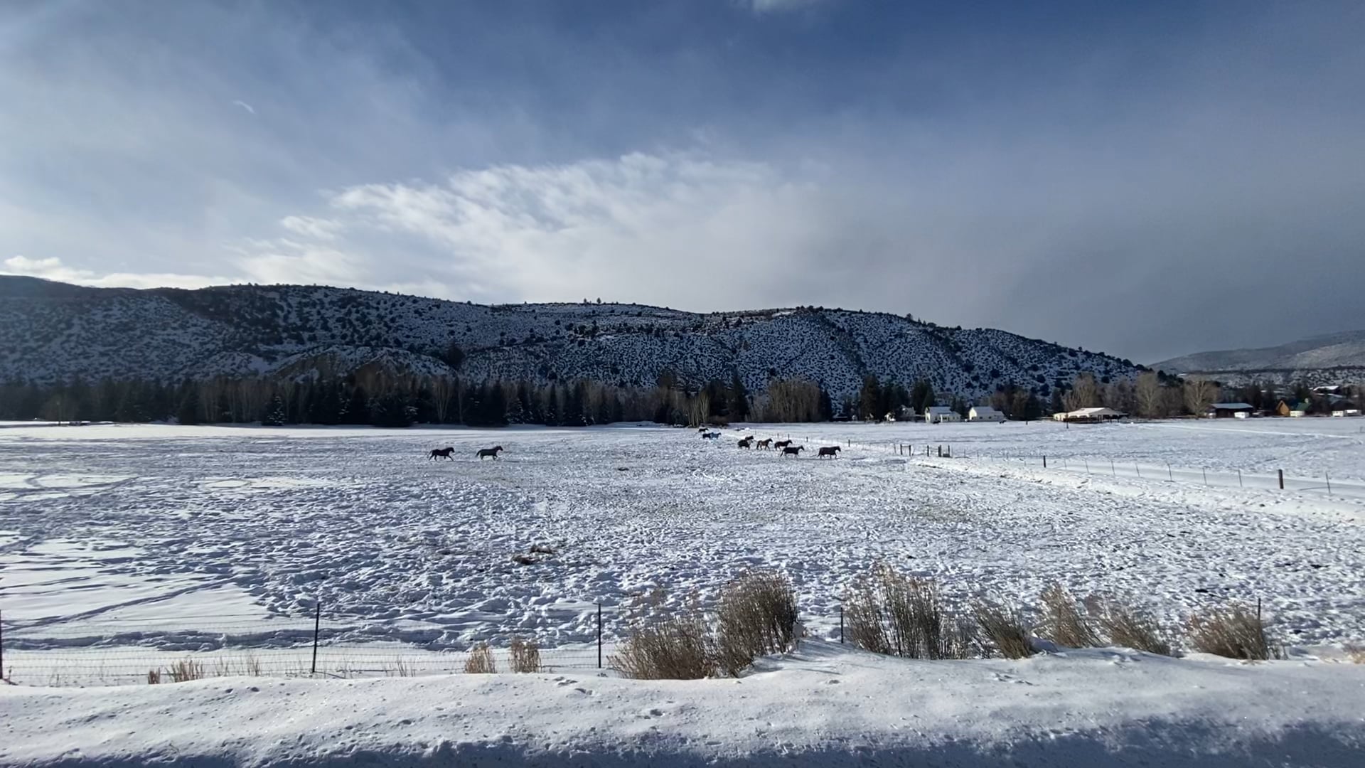 Lake Creek Horse Stables on Vimeo