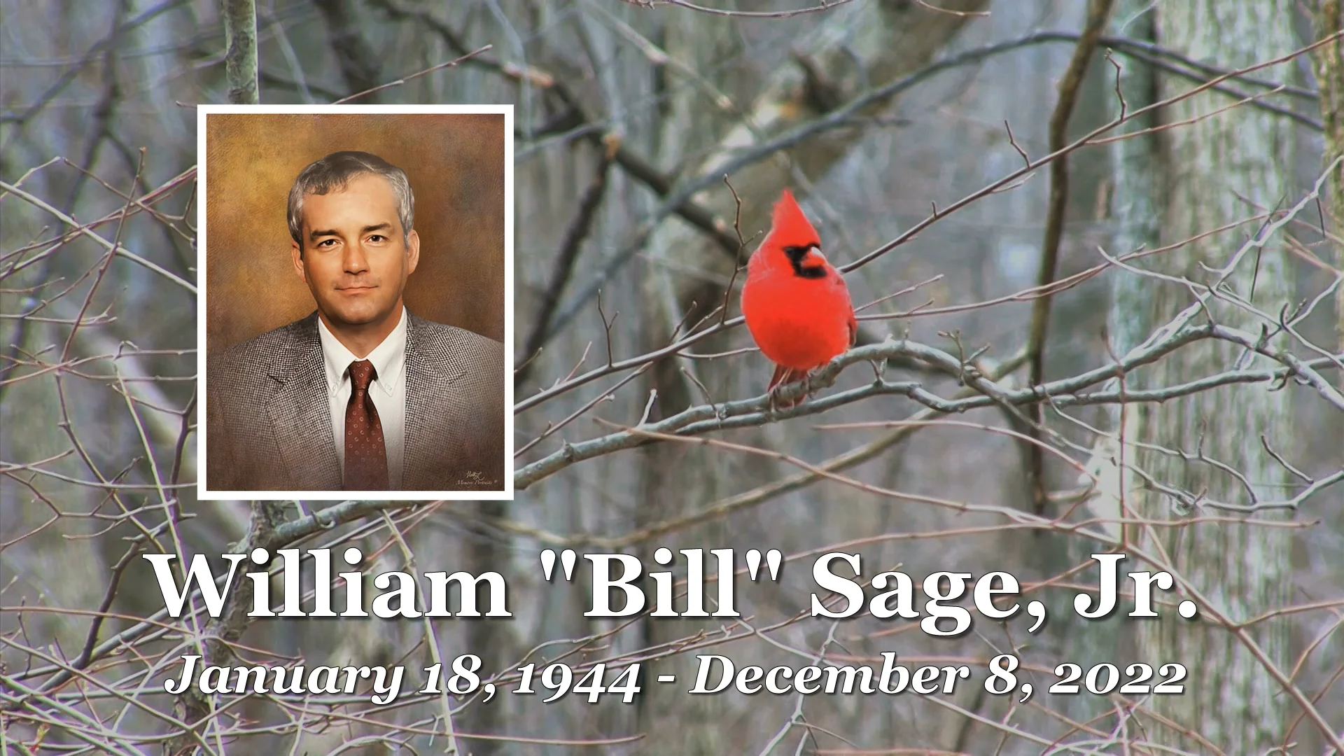William "Bill" Sage, Jr. - Morgan & Nay William Sage on Vimeo