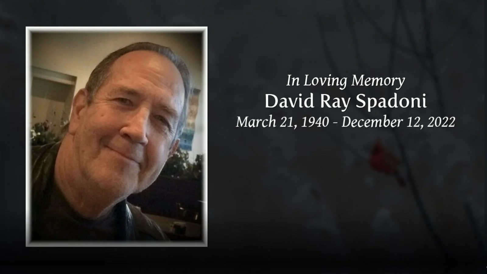 David Spadoni on Vimeo