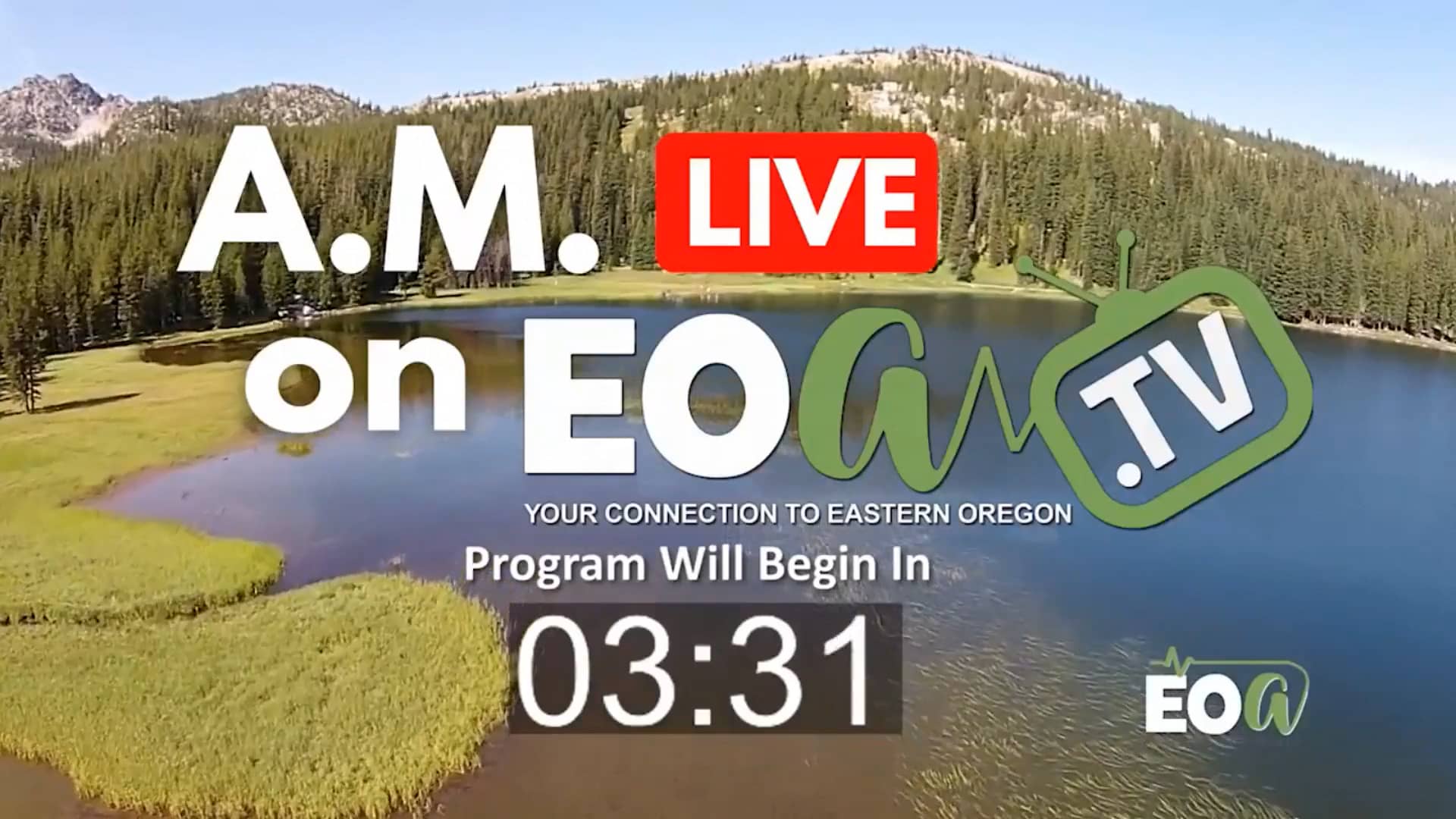 Roku with LIVE LABEL on Vimeo