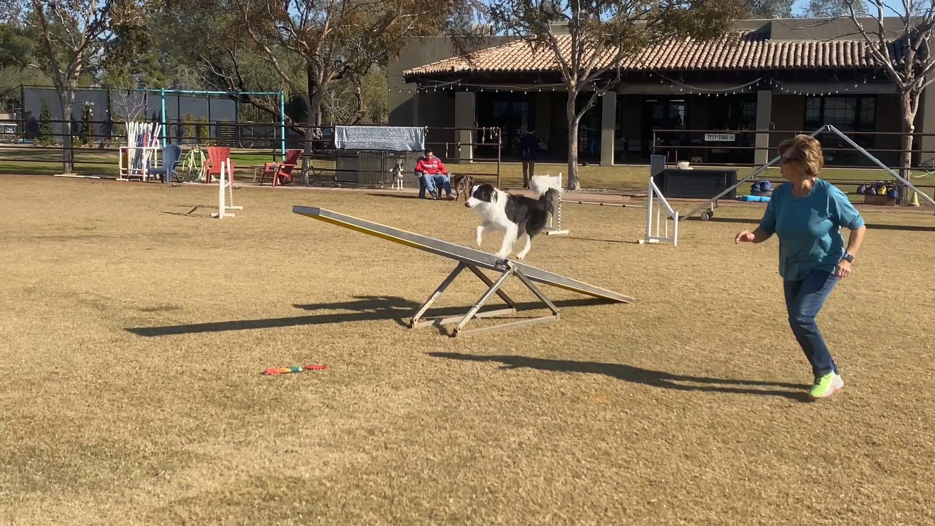 tigger teeter and dog walk 12.15.22 on Vimeo