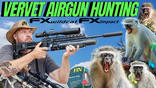 VERVET MONKEY AIR GUN HUNTING I FX IMPACT M3 AIR GUN HUNTING I GREY MENACE AIR GUN HUNTING ...