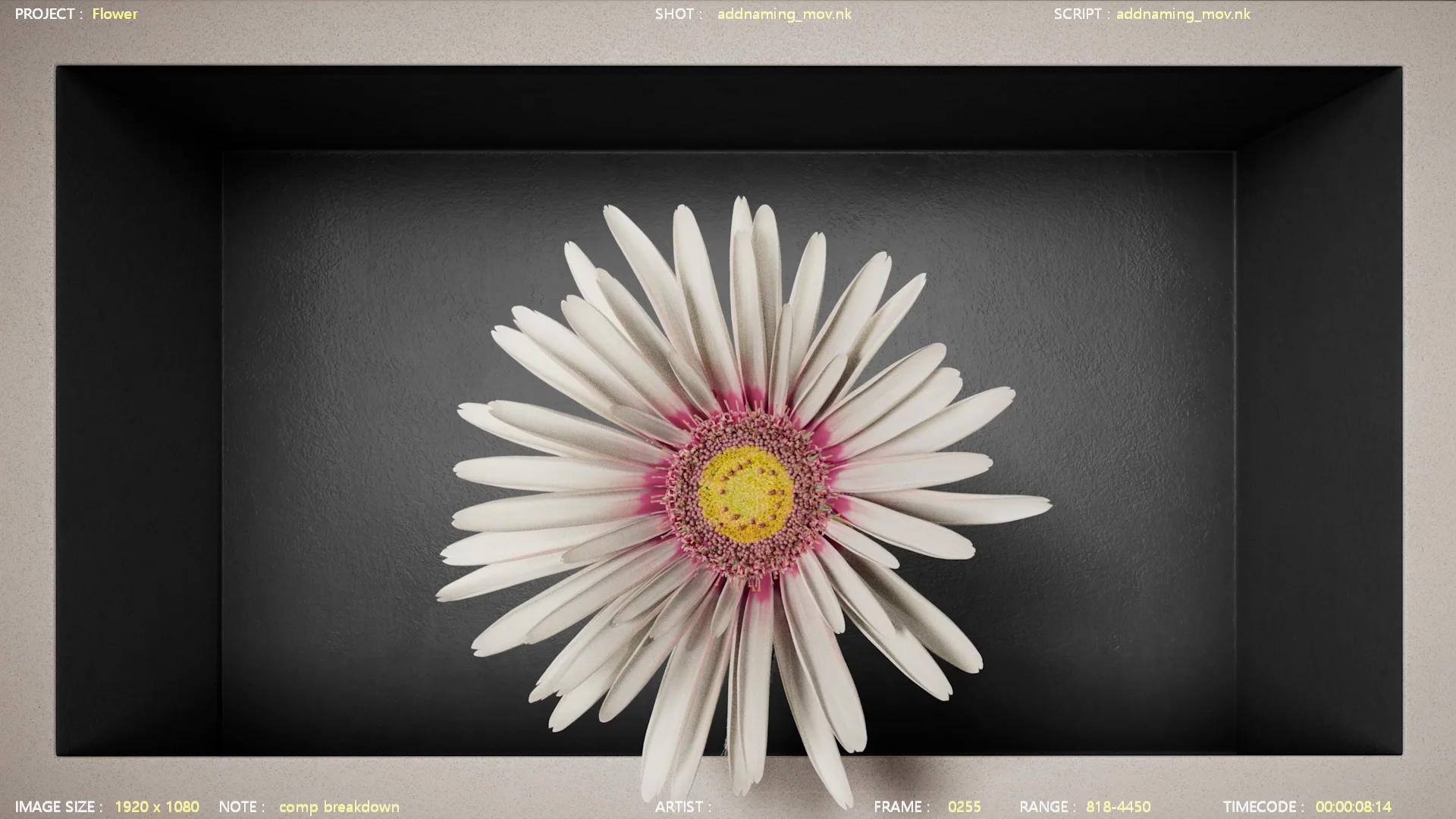 Flowers breakdown v008_C.mp4 on Vimeo