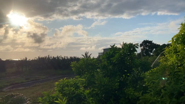 Green, Sunny, Scenic. Free Stock Video - Pixabay