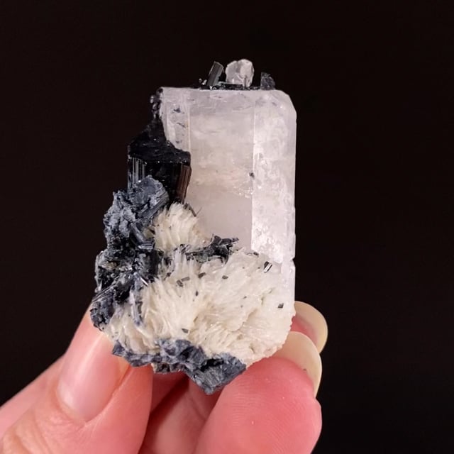 Goshenite Beryl (RARE locality specimen) | Cryo-Genie Mine, Warner ...