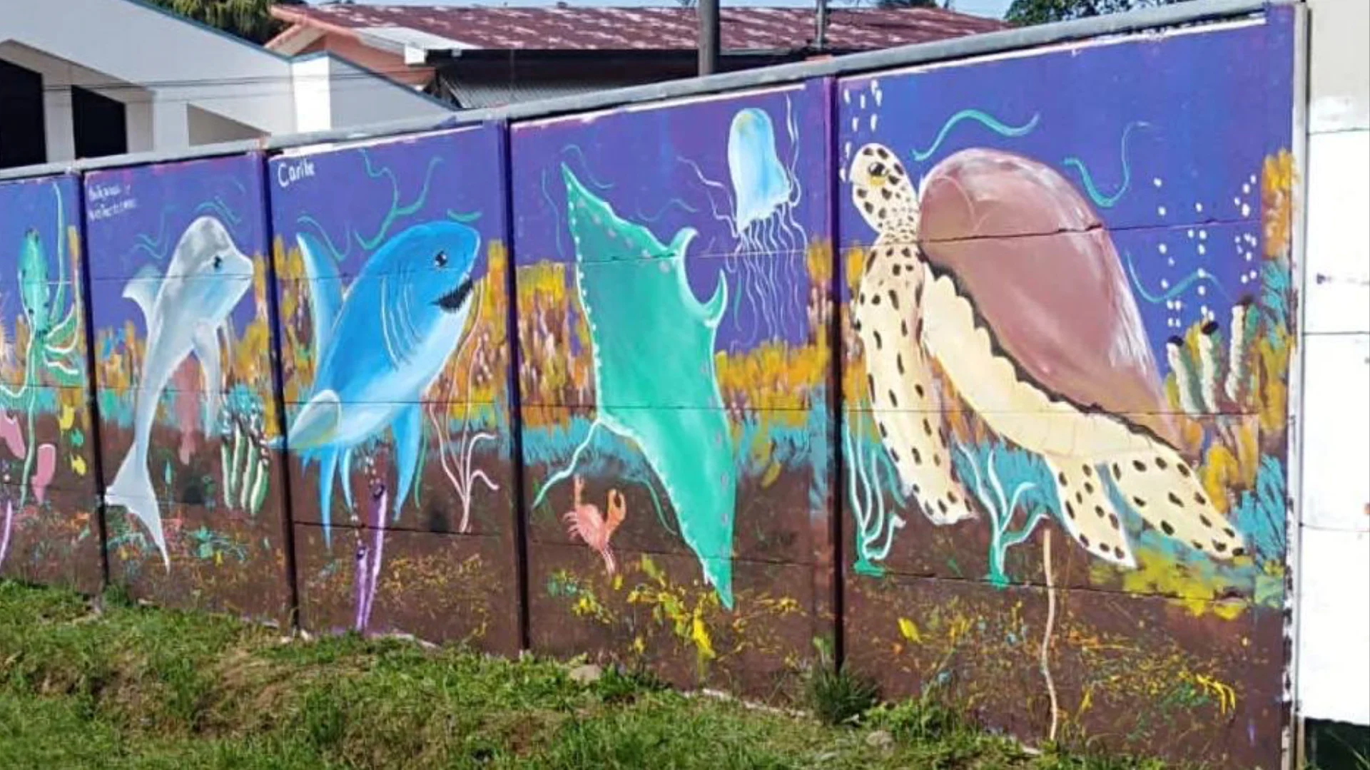 Mural Del Mar on Vimeo