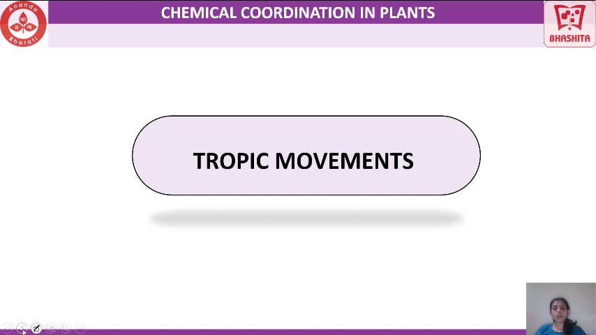 6.2 Tropic Movements