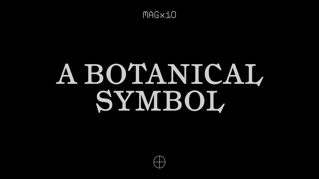 A Botanical Myth_Without Sub_1.mp4 on Vimeo