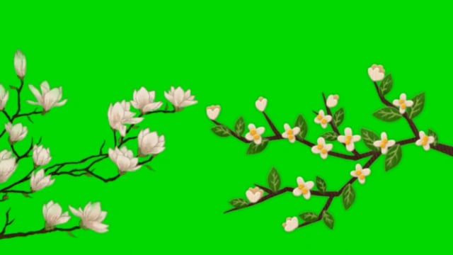 Green Screen Flower Free Stock Video - Pixabay