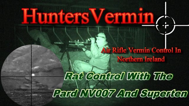 Air Rifle Hunting Rat Control With The Pard NV007 And Superten - Airgun101
