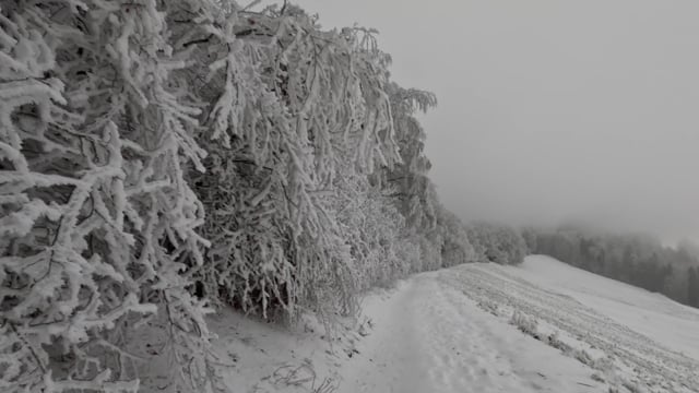 Snow Videos: Download 2,352+ Free 4K & HD Stock Footage Clips - Pixabay