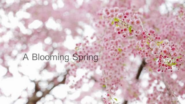 A blooming spring on Vimeo
