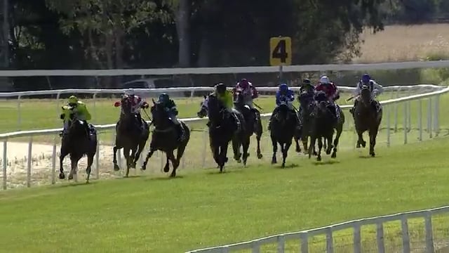 Redente - Stallion | Breednet