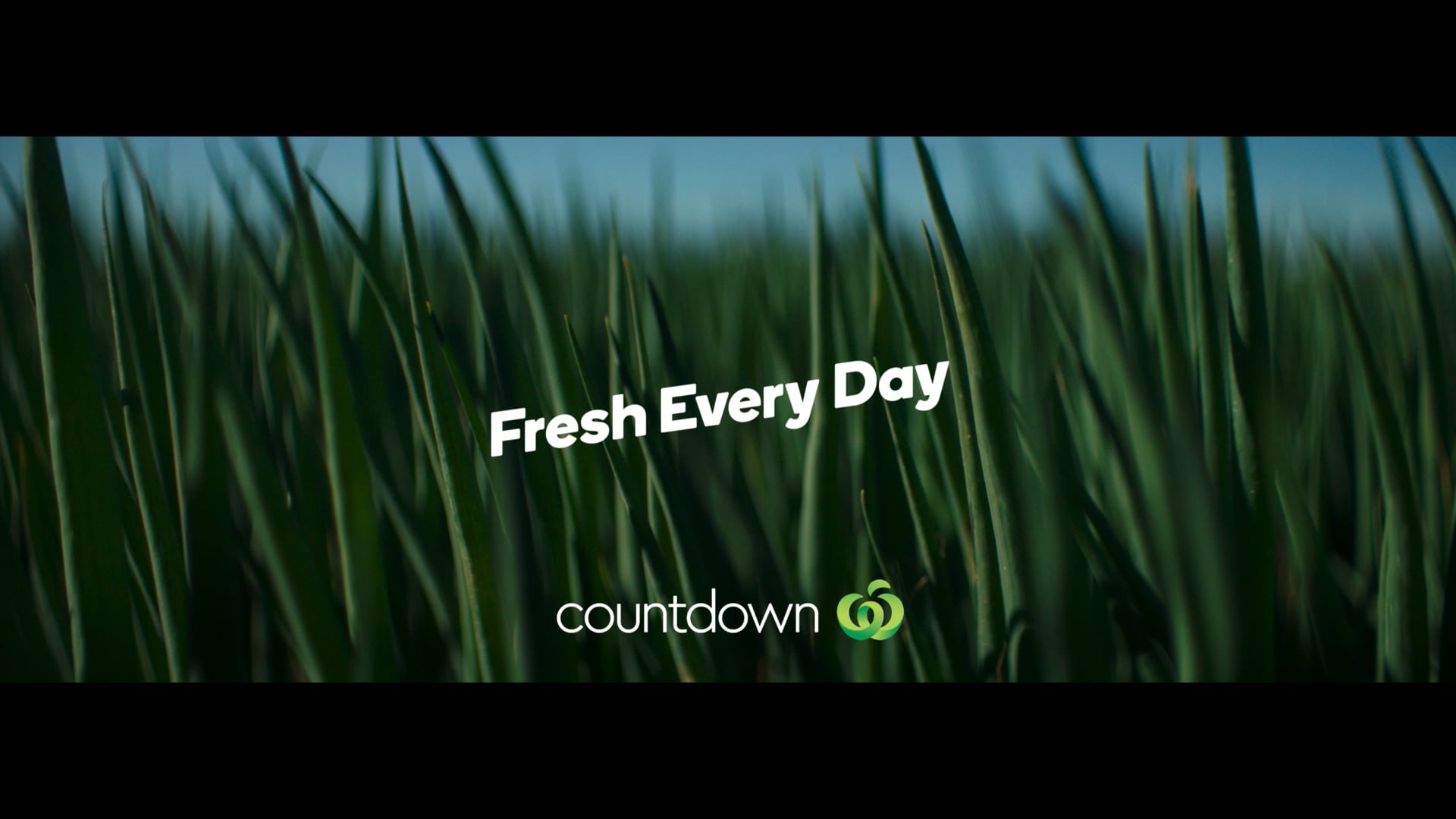 Countdown | Fresh Every Day | Videos & Movies on Vimeo