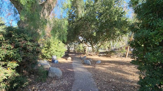 Park Nature Walk Free Stock Video - Pixabay