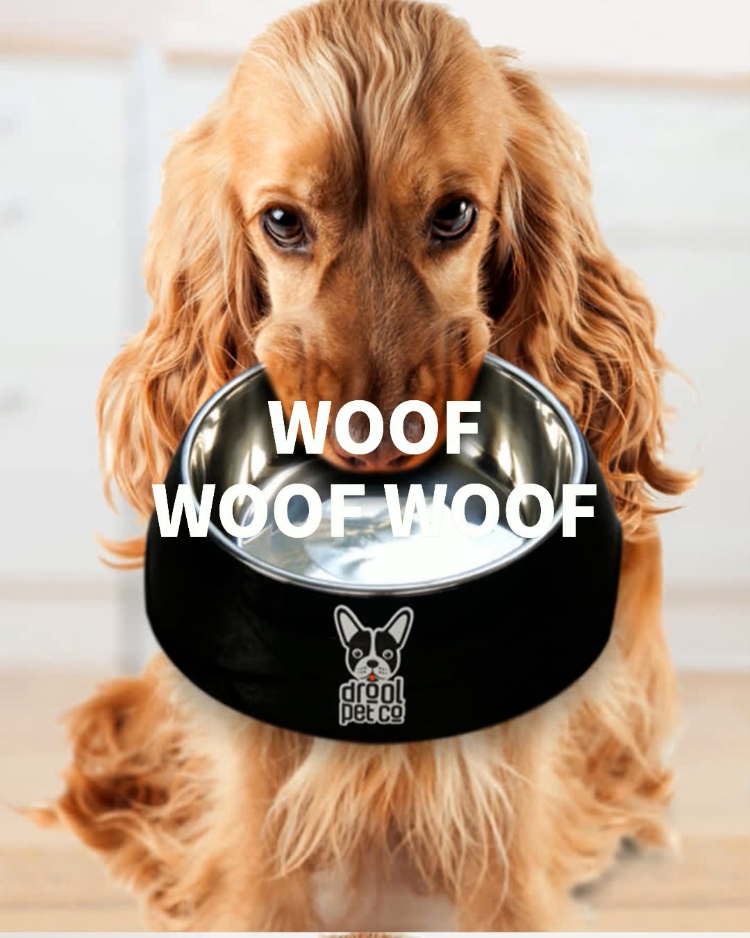 VCAT-HAPPY PET on Vimeo