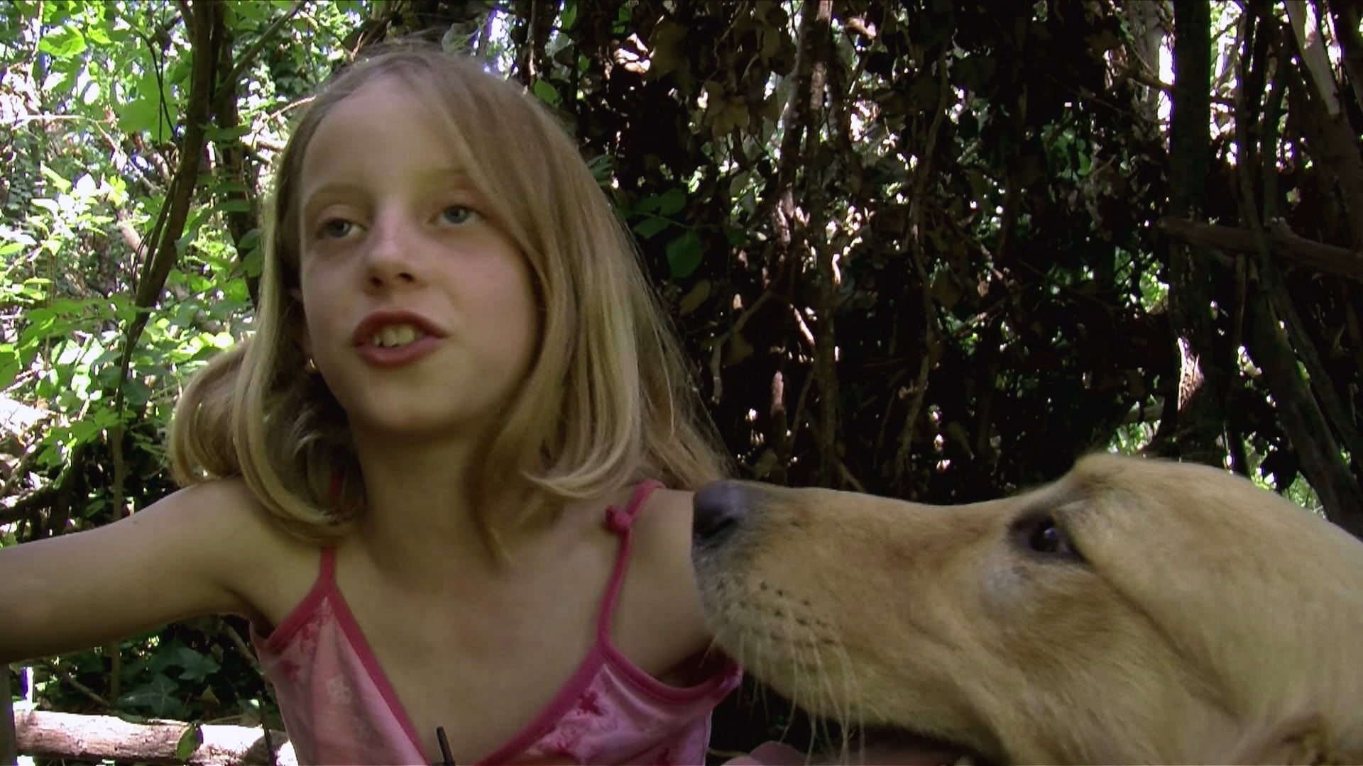 Watch L'arbre de l'enfance Online | Vimeo On Demand on Vimeo