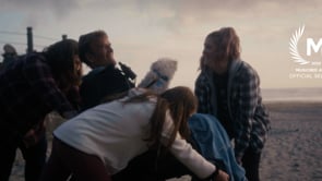 The Vimeo Short Film Channel on Vimeo