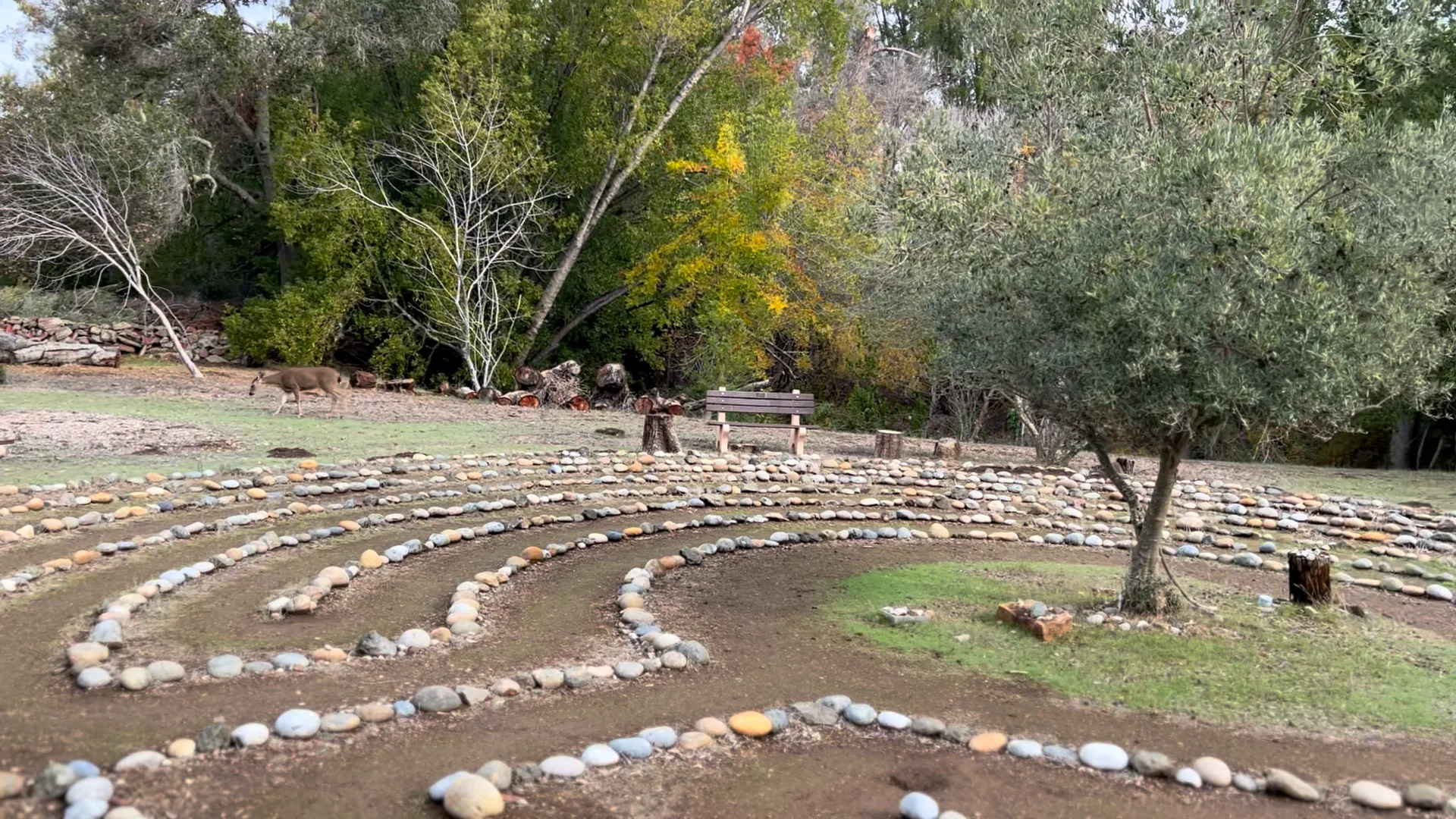 A Labyrinth in Silicon Valley on Vimeo