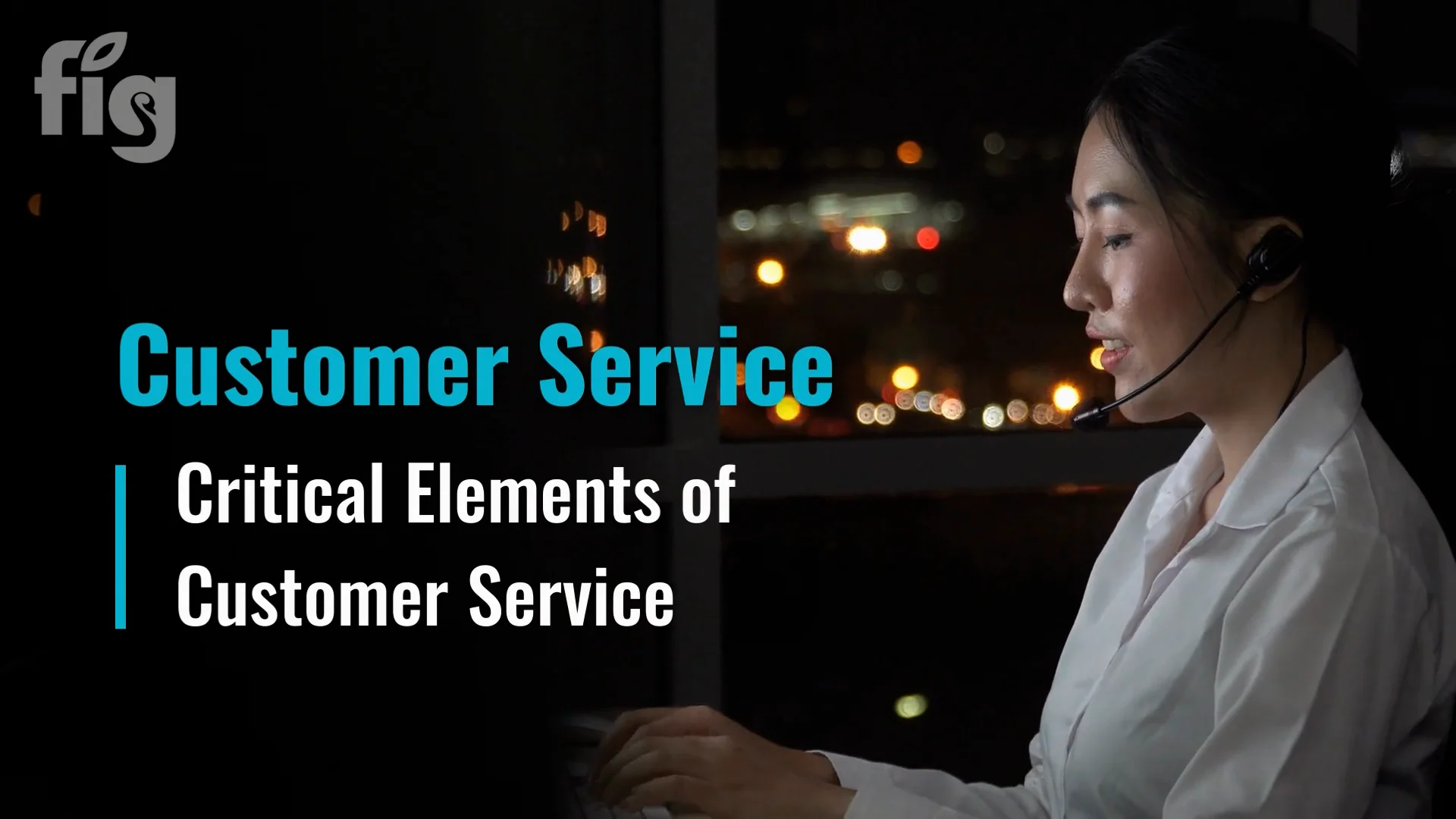 Critical Elements of Customer Service - Lesson One - What Is Customer ...